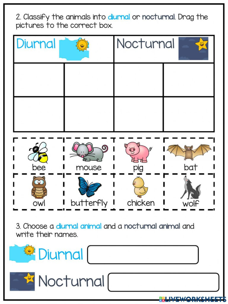 Day And Night Printable Worksheets-159 | Lyana Worksheets