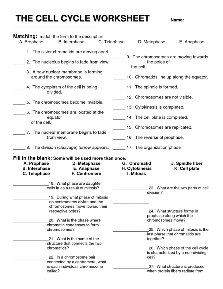 Free Printable Biology Worksheets For High School-159 | Lyana Worksheets