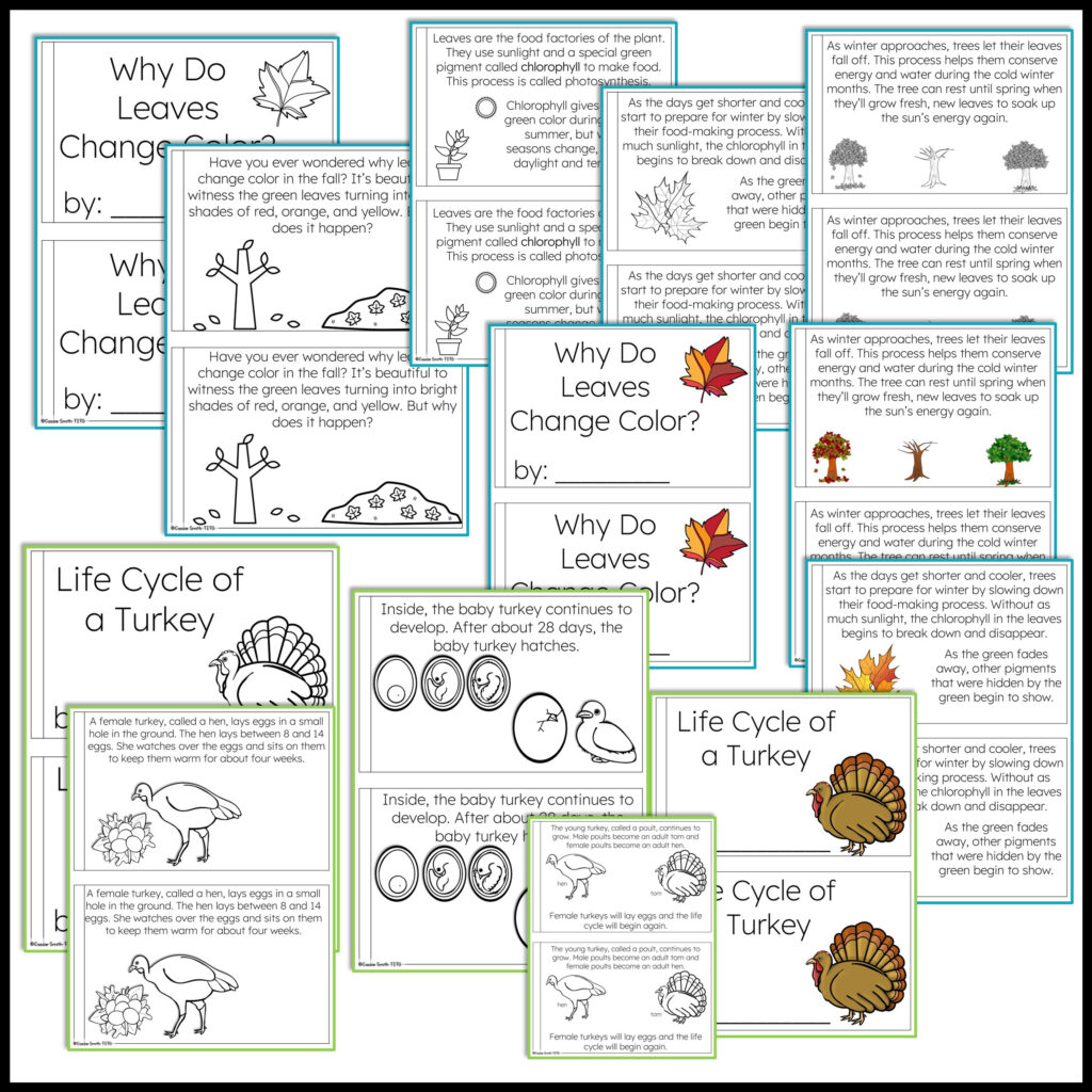 Science Thanksgiving Worksheets | Lyana Worksheets
