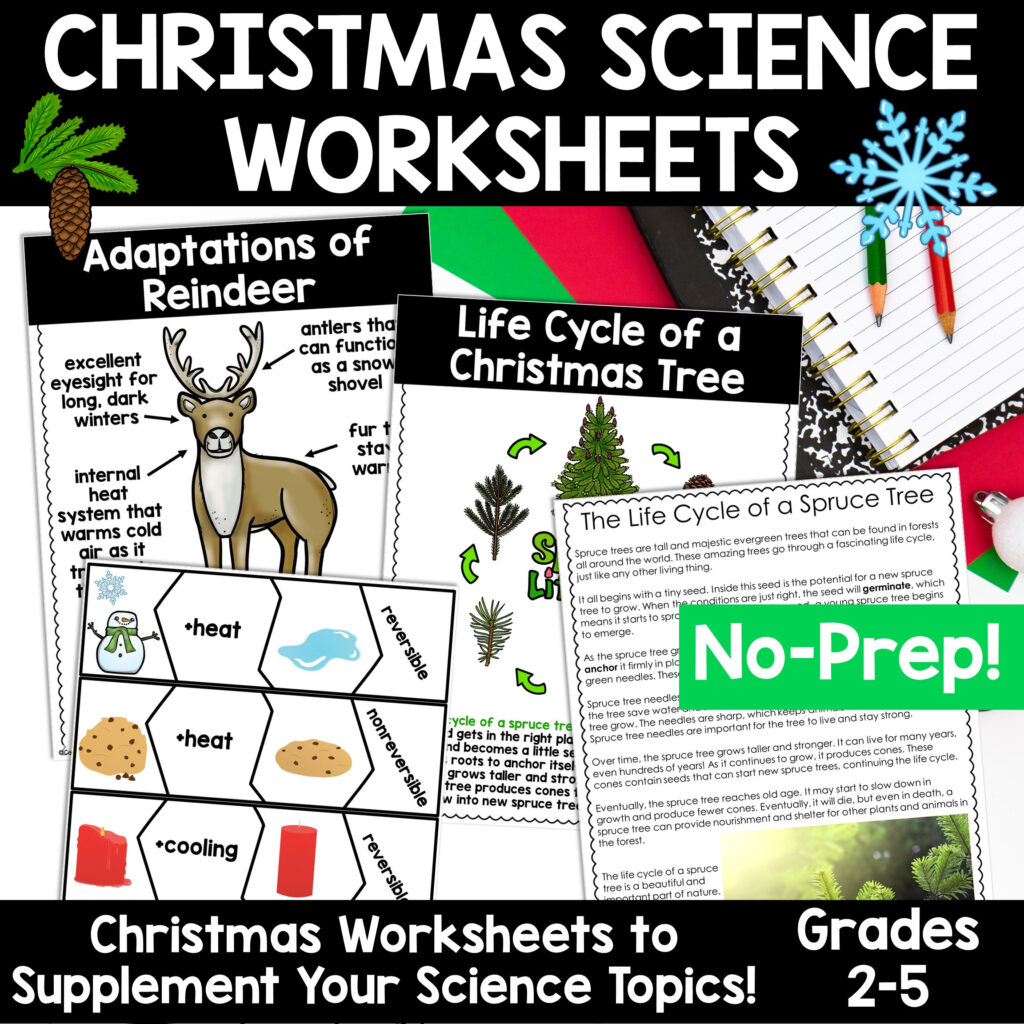 The Science Of Christmas Question Worksheets | Lyana Worksheets
